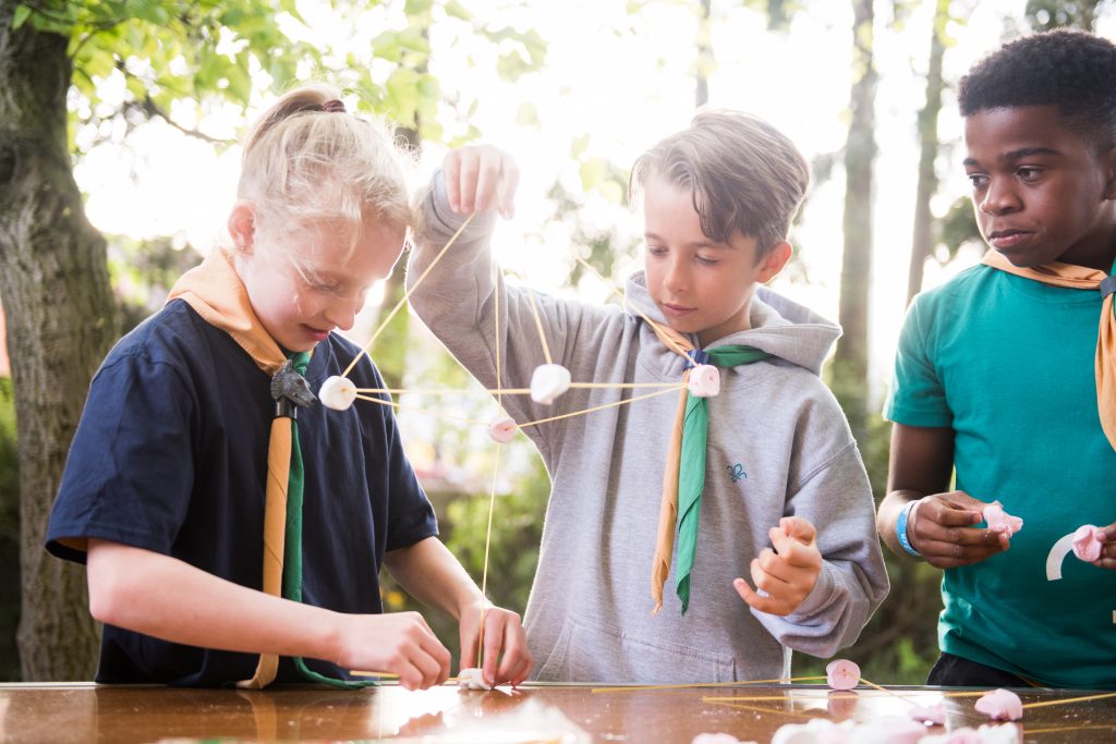 1st Lady Bay Scout Group | Registered Charity Number: 522464
